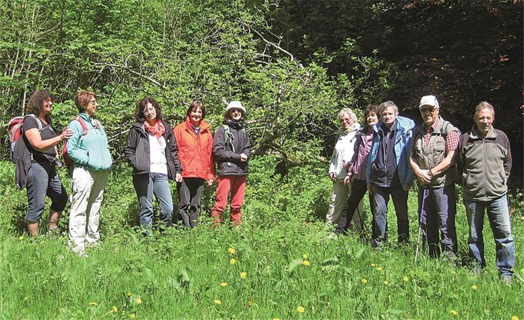 Ein Mispelbaum auf dem Aremberg