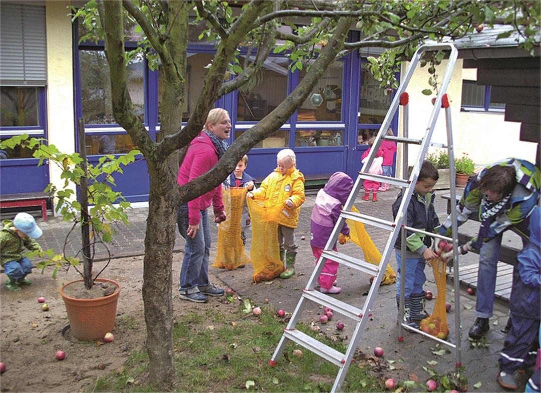Projektwoche Rund um den Apfel