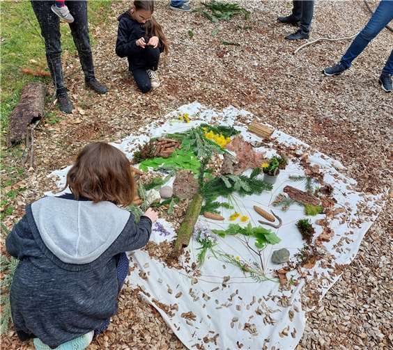 Wald und Natur erleben, Kraft tanken, in Austausch gehen
