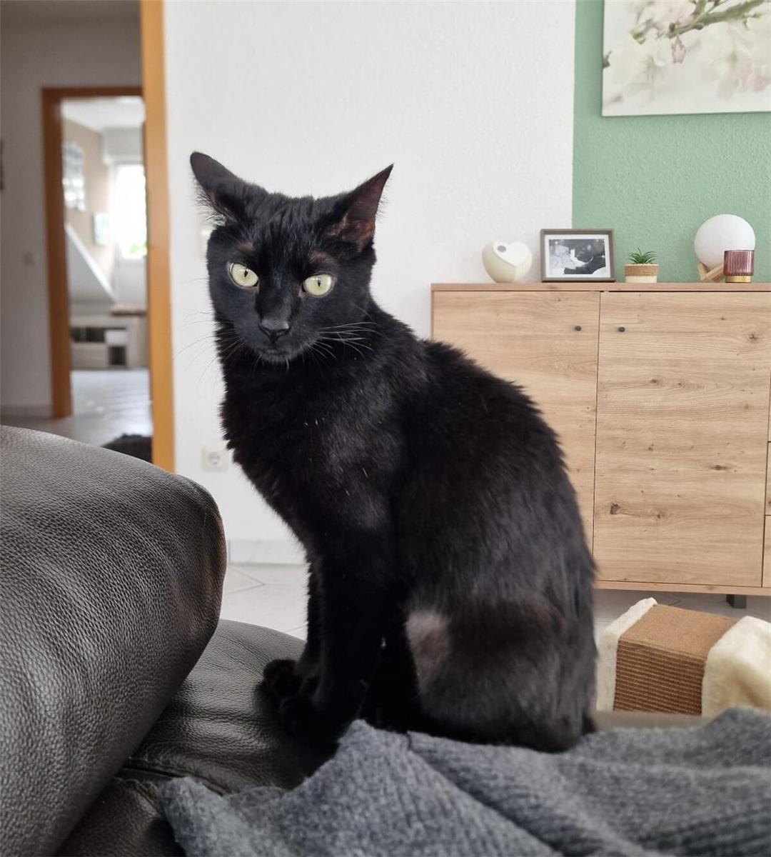 Wer gibt Mautzi eine Chance