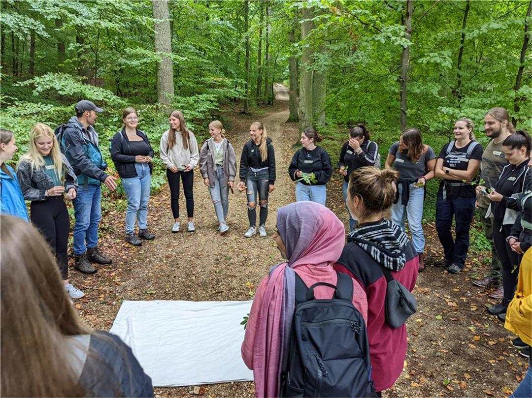 Der besondere Zauber des Waldes