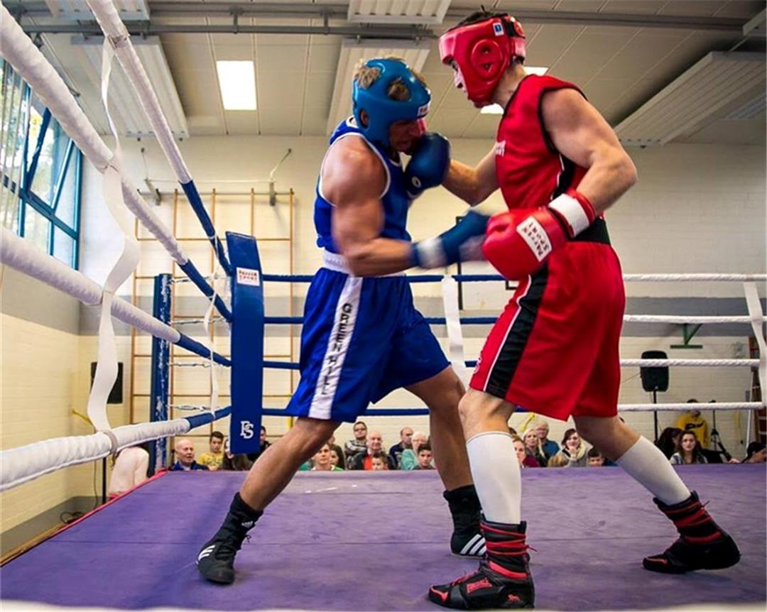 Boxer stellen ihr Können unter Beweis