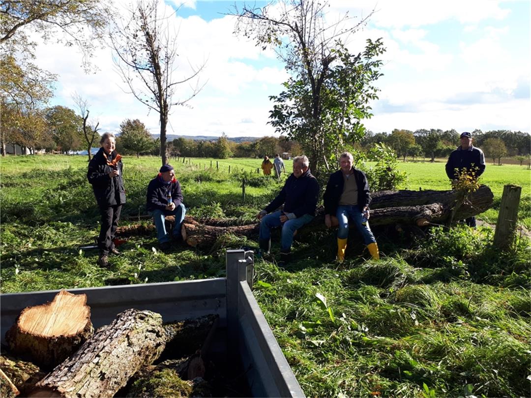 Planungen für das zweite Halbjahr