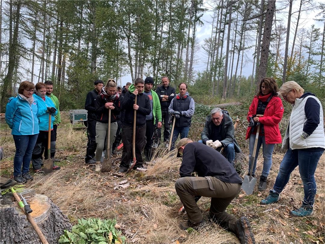 Unternehmensgruppe reifert übernimmt Baumpatenschaft für 100 Eichen im Bad Hönninger Wald