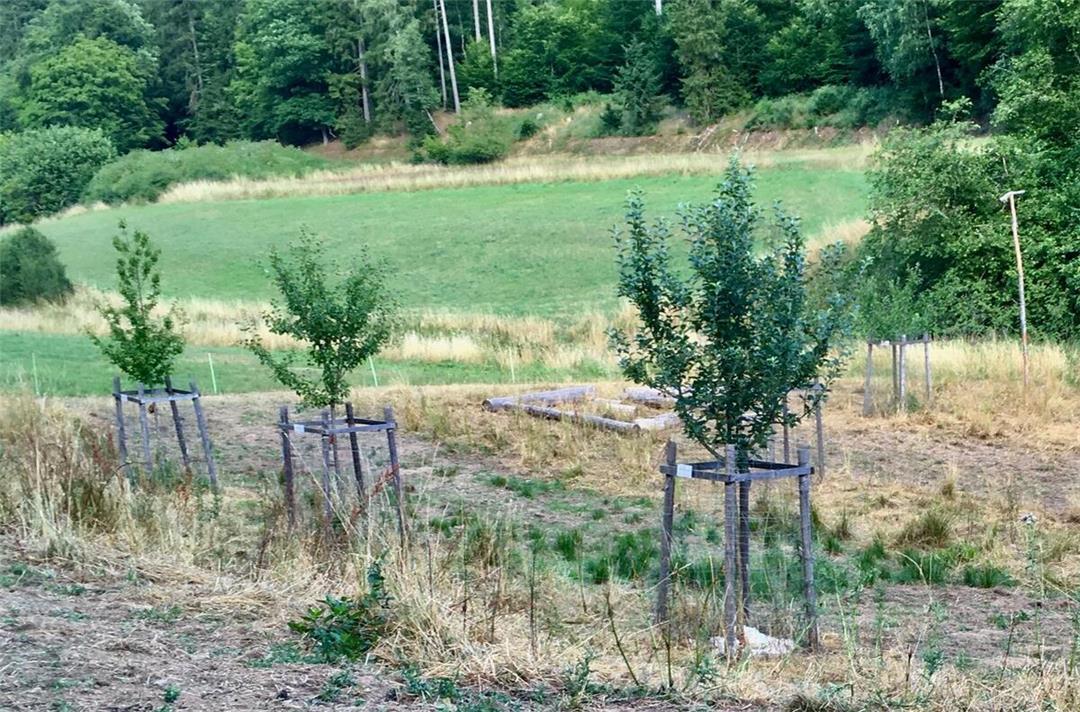 Biologische Schadlingsbekampfung Obstbaume