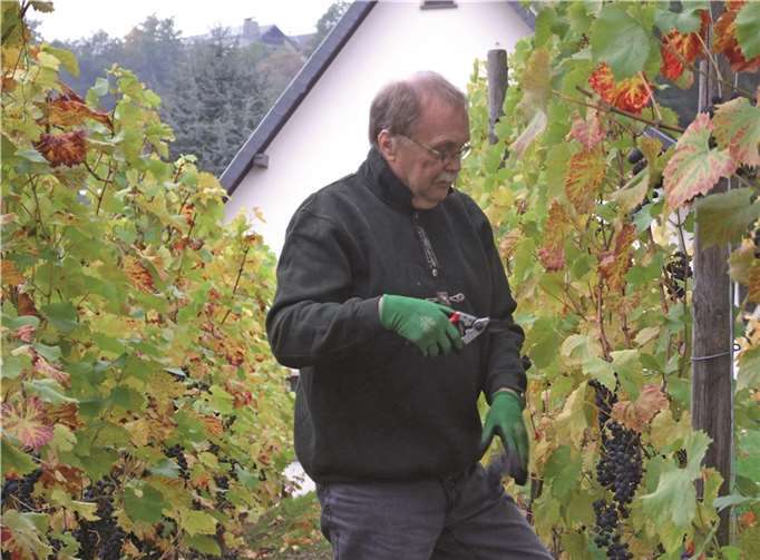 Ein Mostgewicht von 86 Grad Oechsle