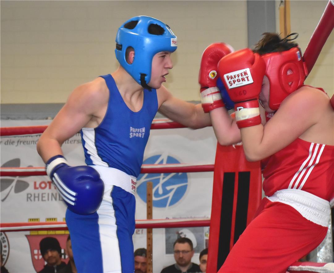 40 Boxer boten spannende, faire Kämpfe