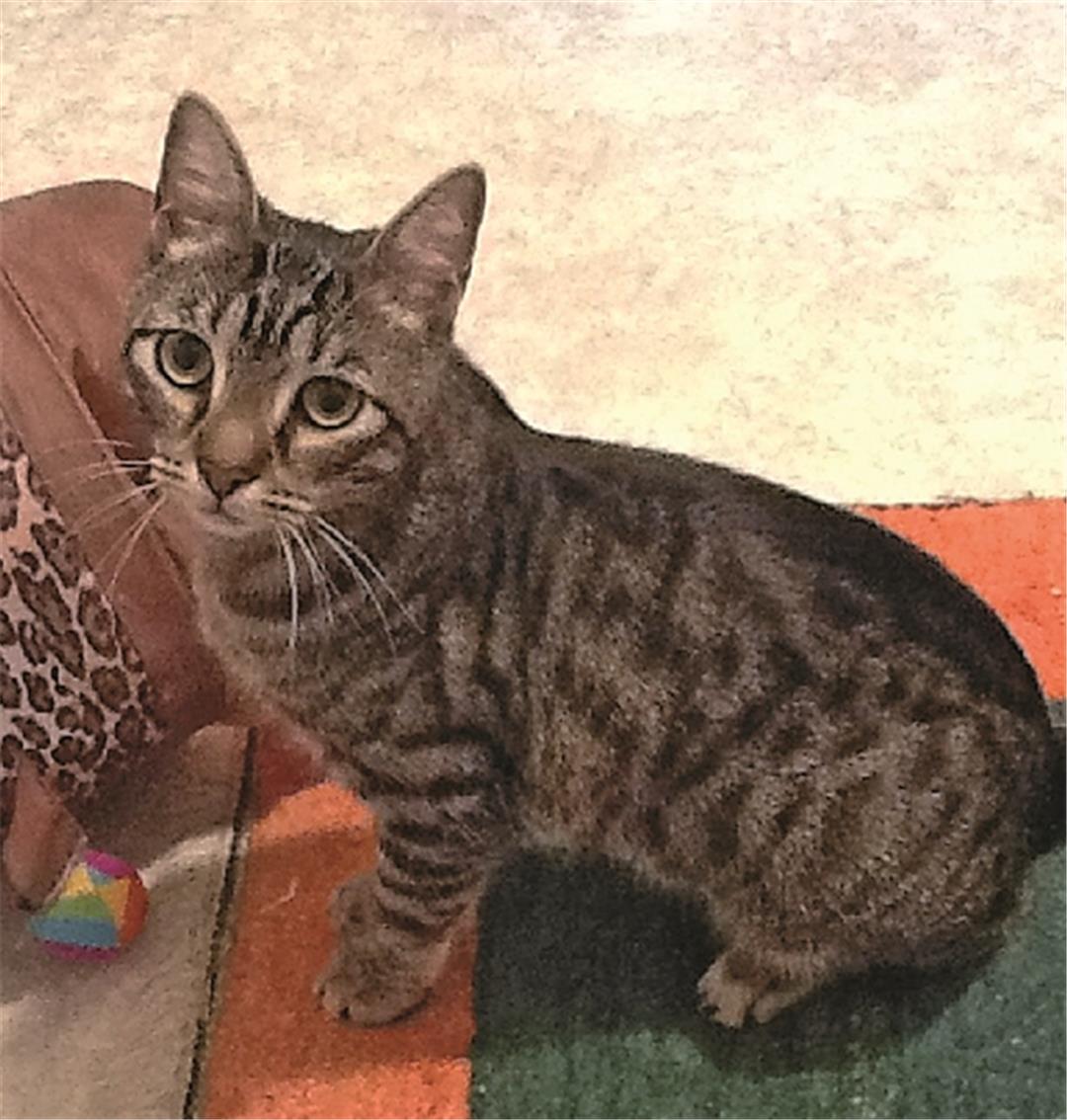 Lena und Max sind schon stubenrein