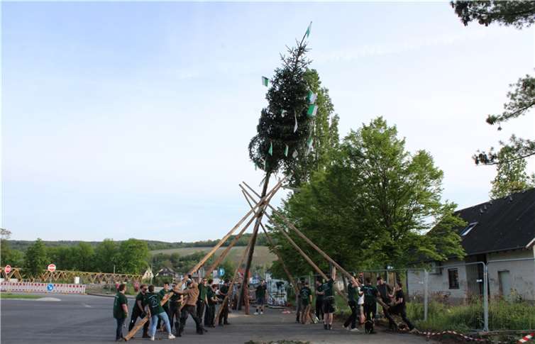 Bäume, Micken, Muskelkraft