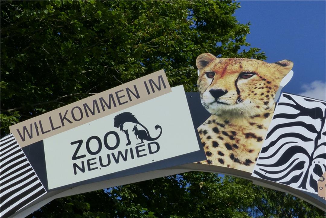 Neue Regeln für den Zoobesuch