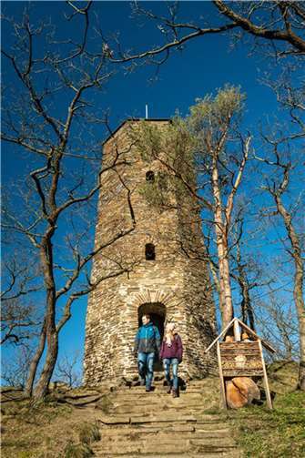 Winterwandern rund um den Krausberg in Dernau