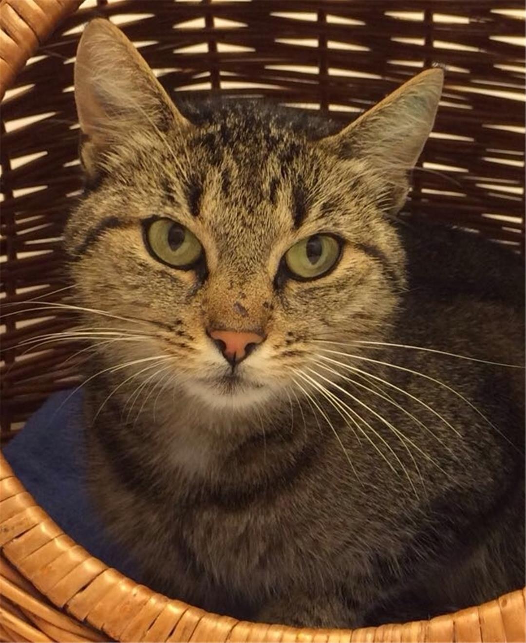 Selli – Schmusefaktor hoch zehn!